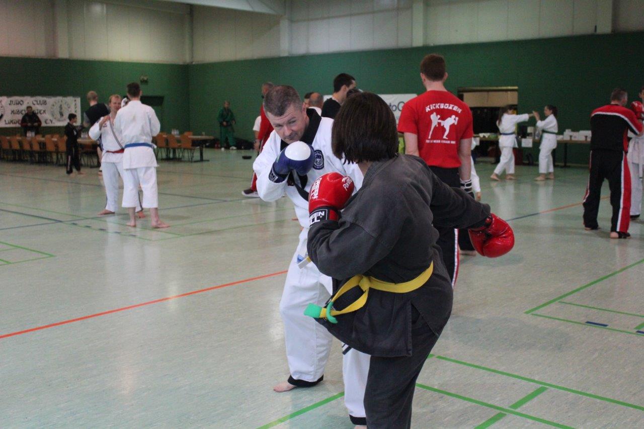 November 2018 – HapKiDo