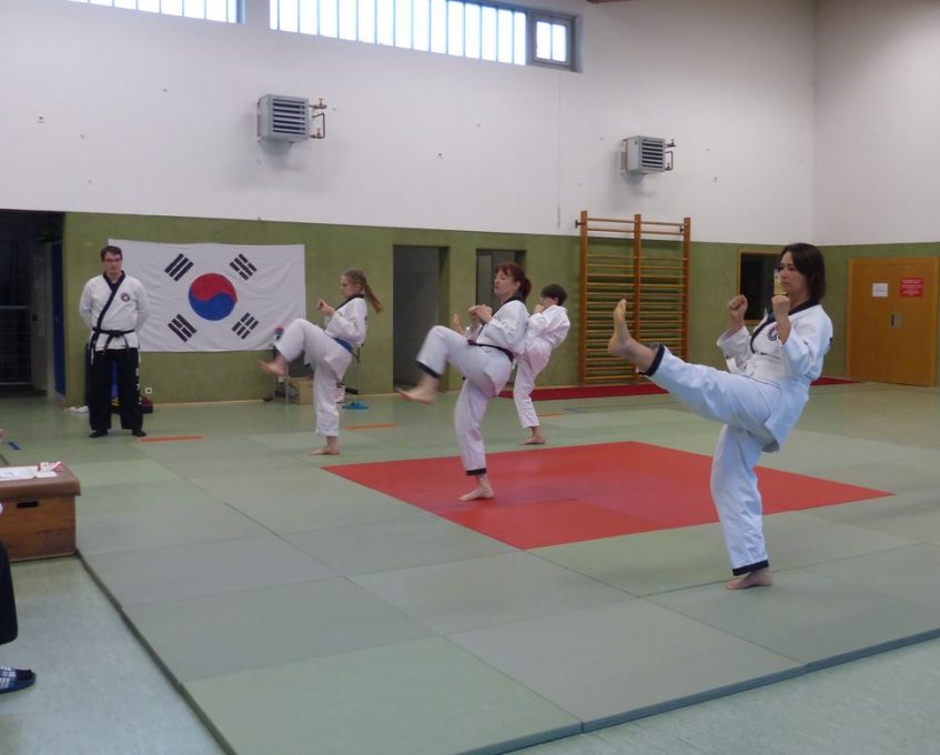 HapKiDo – Hap-Ki-Do.TSV-Auerbach.org