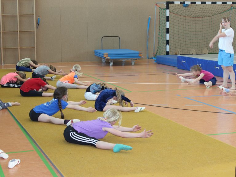 Leistungsturnen – Turnen und Gesundheitssport